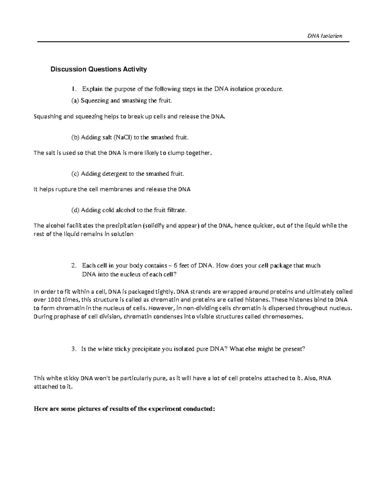 02 2 DNA Isolation Discussion Question Activity Completed - DNA ...