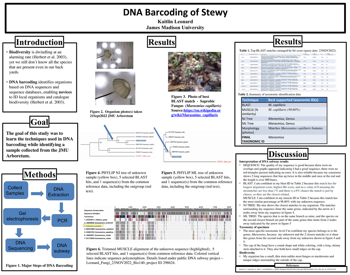 Final Barcoding Poster - DNA Barcoding of Stewy Kaitlin Leonard James ...