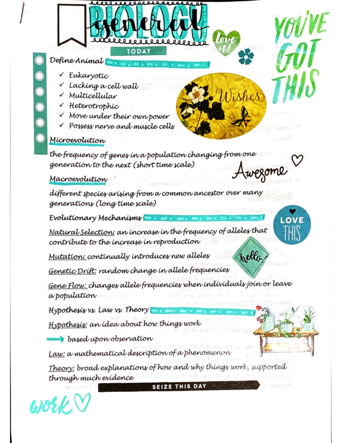 Gen Bio 3 Notes 1 - TODAY Define Animal GOT Eukaryotic Lacking a cell ...