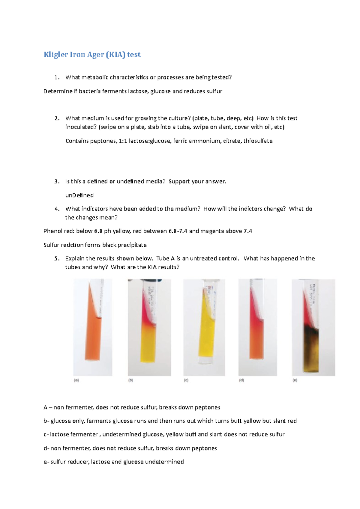 Metabolic Test Worksheet - Carbohydrate Fermentation 2 - Kligler Iron ...