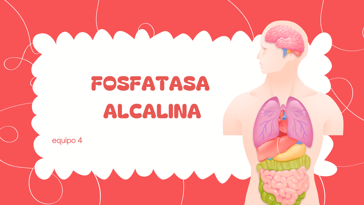 Presentación Fosfatasa Alcalina - FOSFATASA ALCALINA equipo 4 Tiene ...