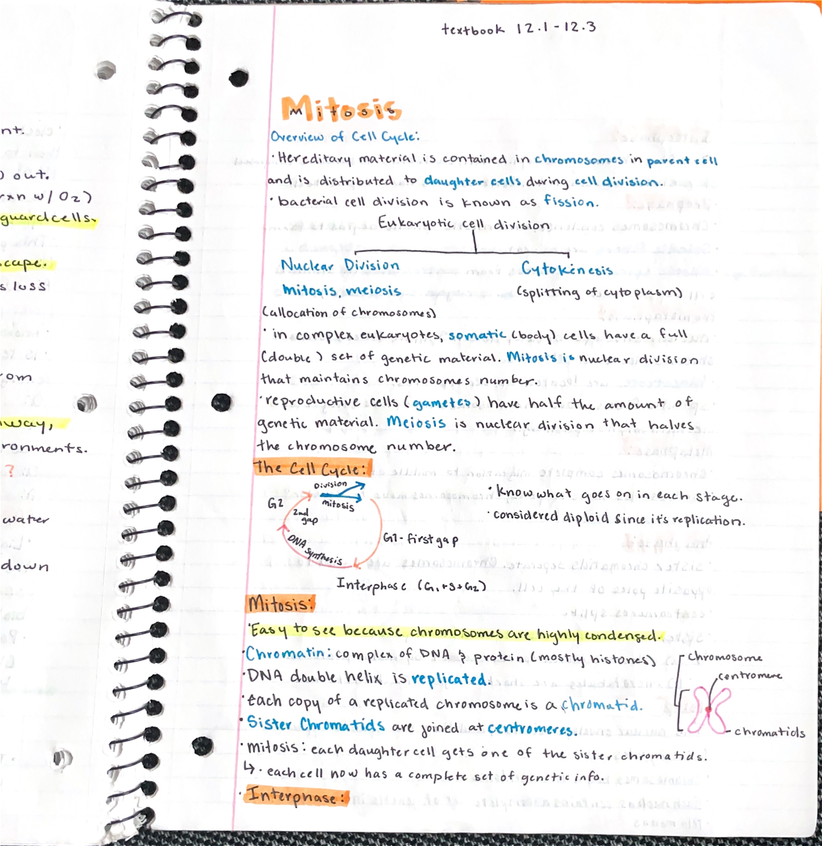 Mitosis lecture notes - textbook Mitosis nt. Overview of Cell Cycle ...