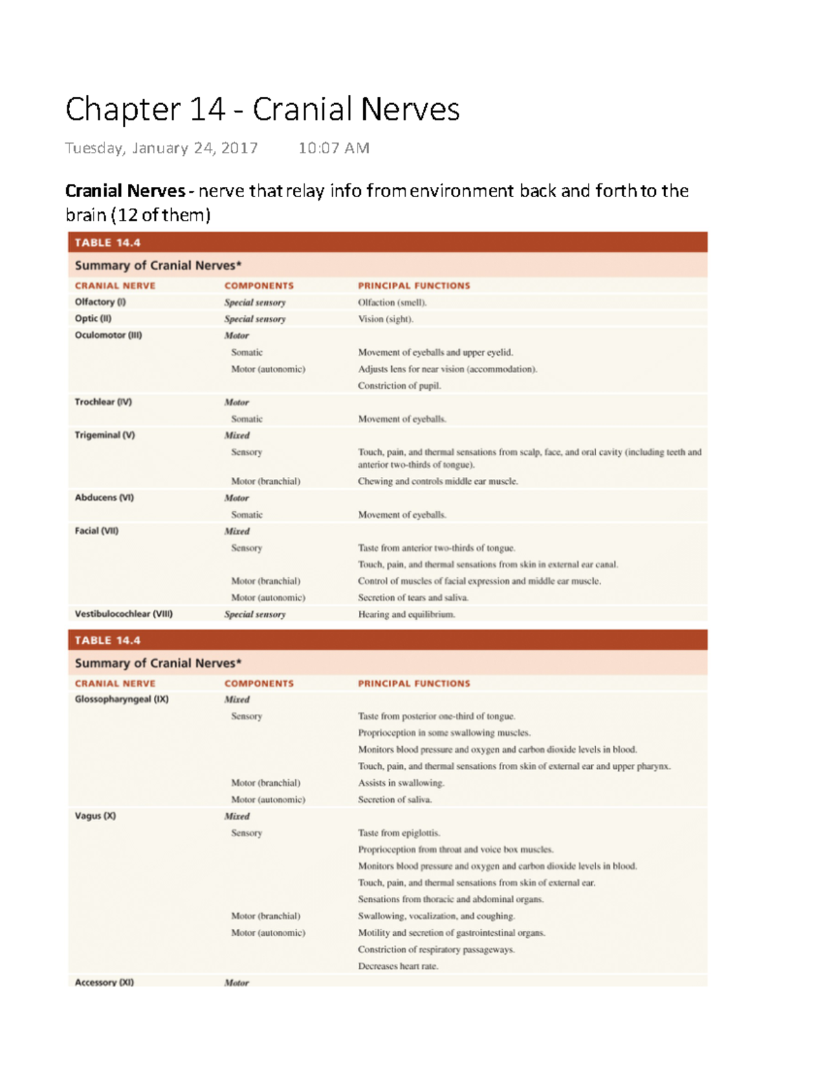 Chapter 14 - Cranial Nerves - Cranial Nerves-nerve that relay info from ...