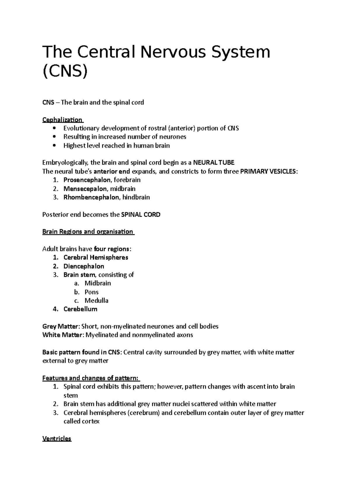The Central Nervous System - The Central Nervous System (CNS) CNS – The ...