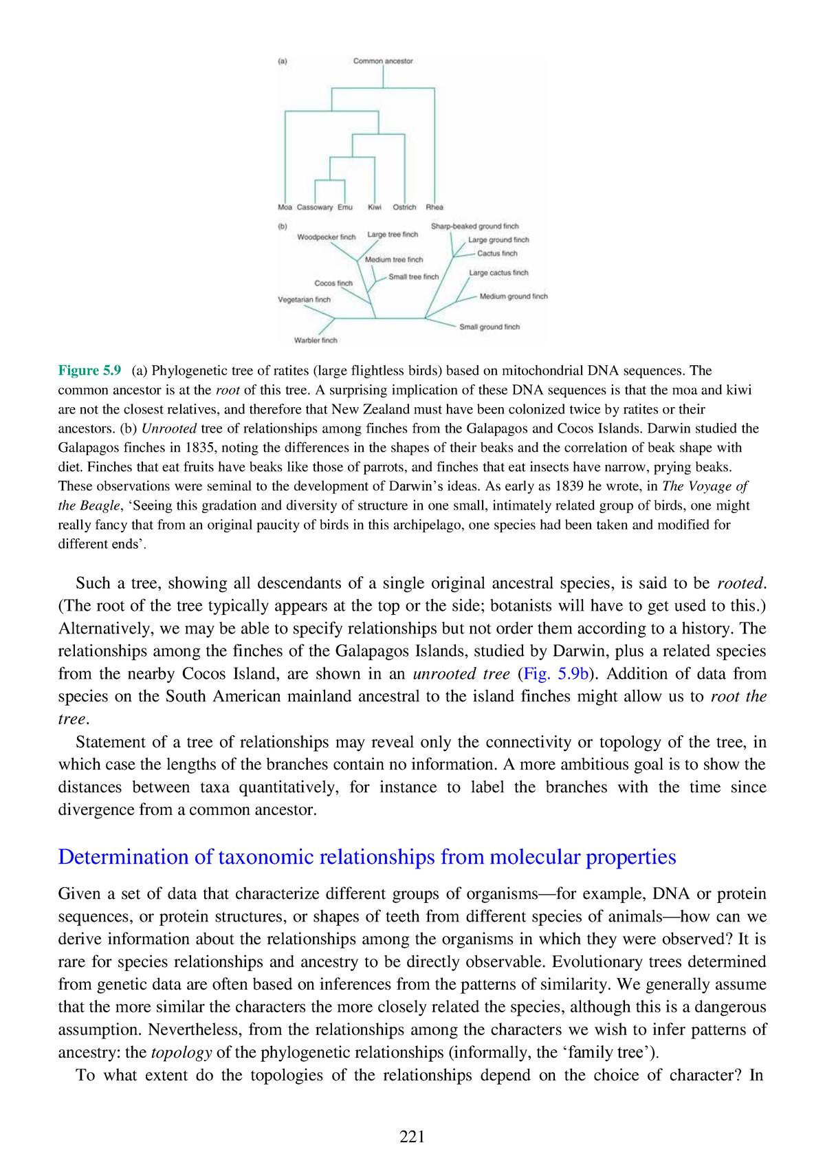 Introduction of Bioinformatics - Notes-56 - Figure 5 (a) Phylogenetic ...