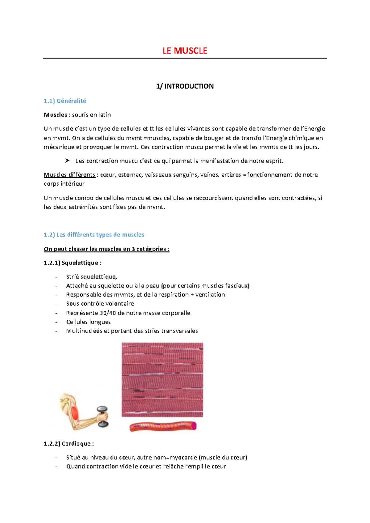 Le muscle Physiologie Semestre 2 - LE MUSCLE 1 / INTRODUCTION Généralité Muscles : souris en ...