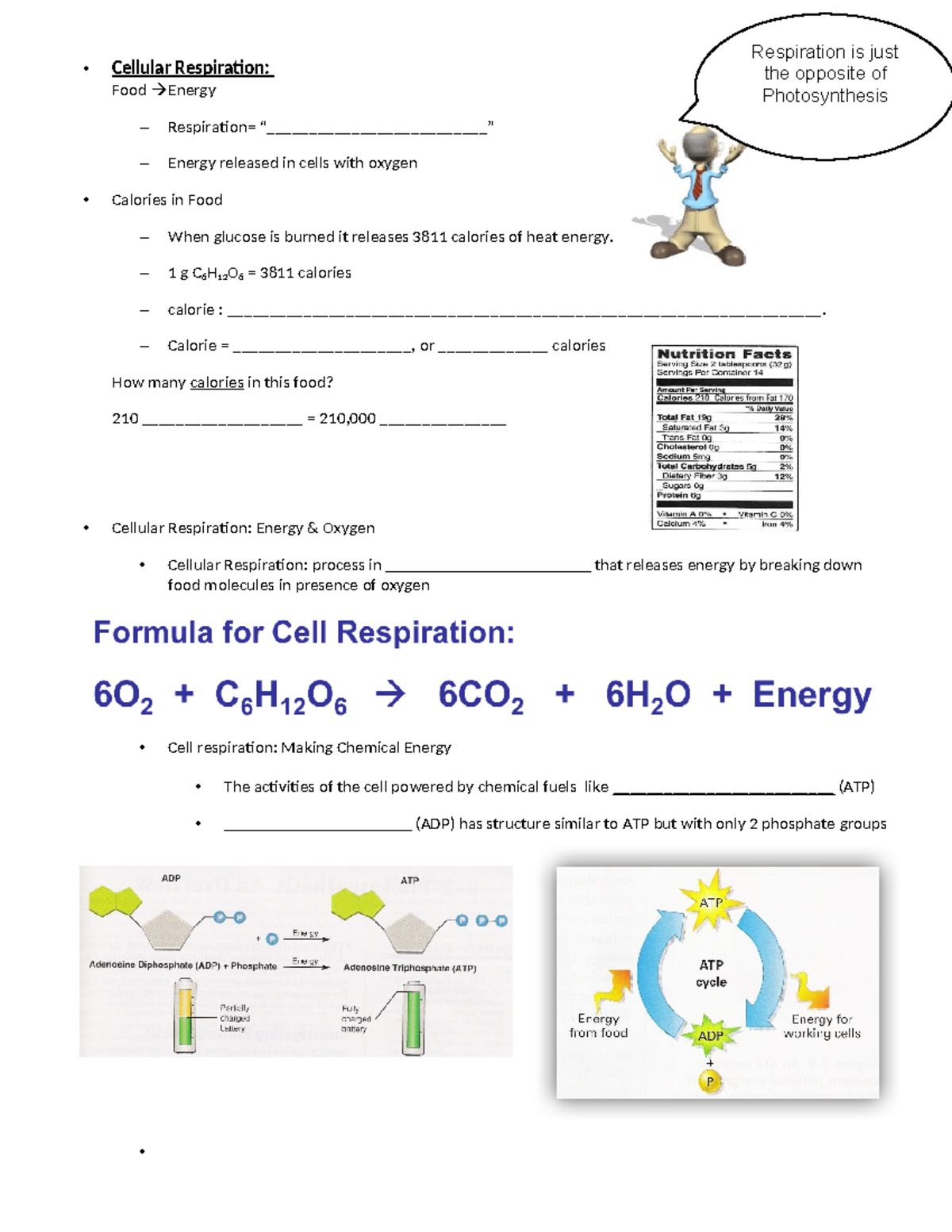 Cellular Respiration ppt notes student copy - • Cellular Respiration ...