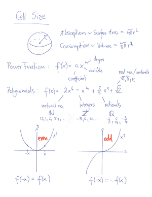 Mean Value Theorem MVT and Rolles theorem - MATH 100 - Studocu