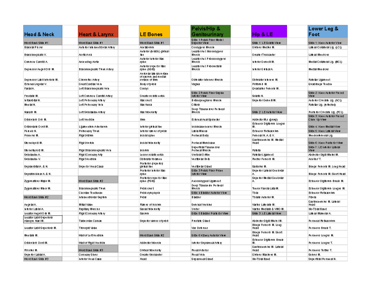 Master Structure Sheet Jrots - Sheet 1 - Head & Neck Heart & Larynx LE ...