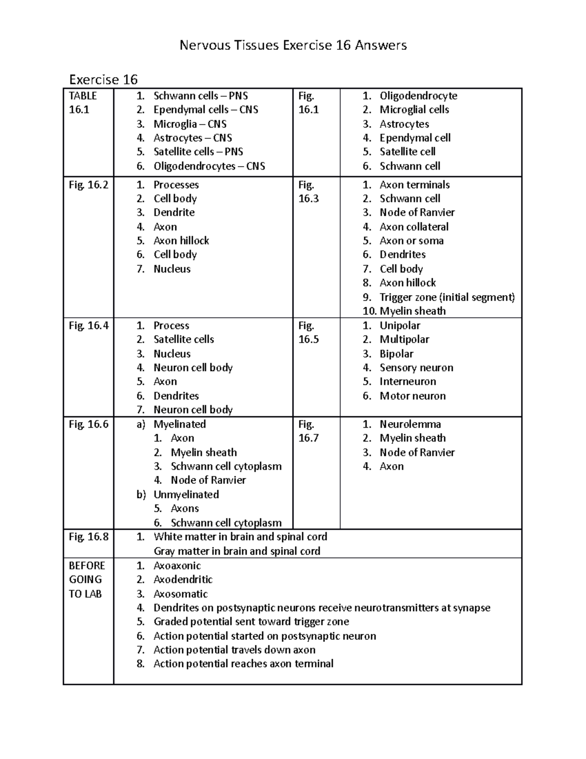 Nervous tissue lab exercise 16 answers - Nervous Tissues Exercise 16 Answers Exercise 16 TABLE ...