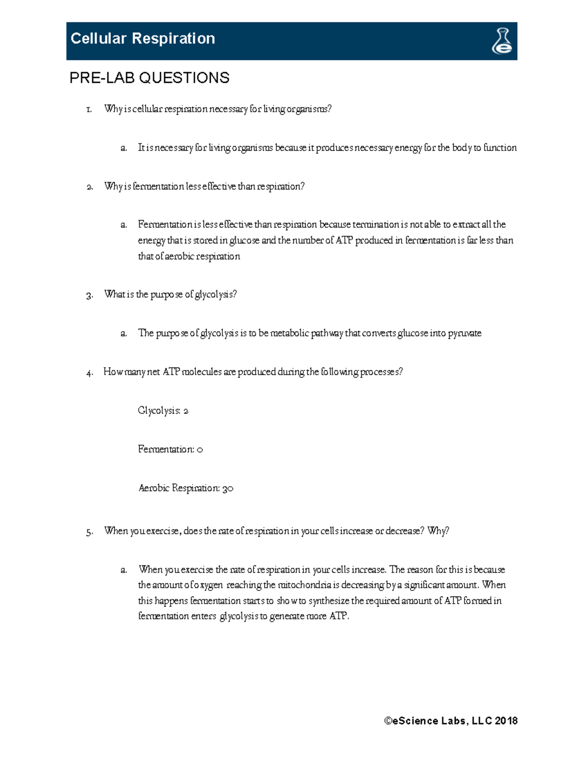 IB 1201 L06 Respiration - Final - Cellular Respiration PRE-LAB ...