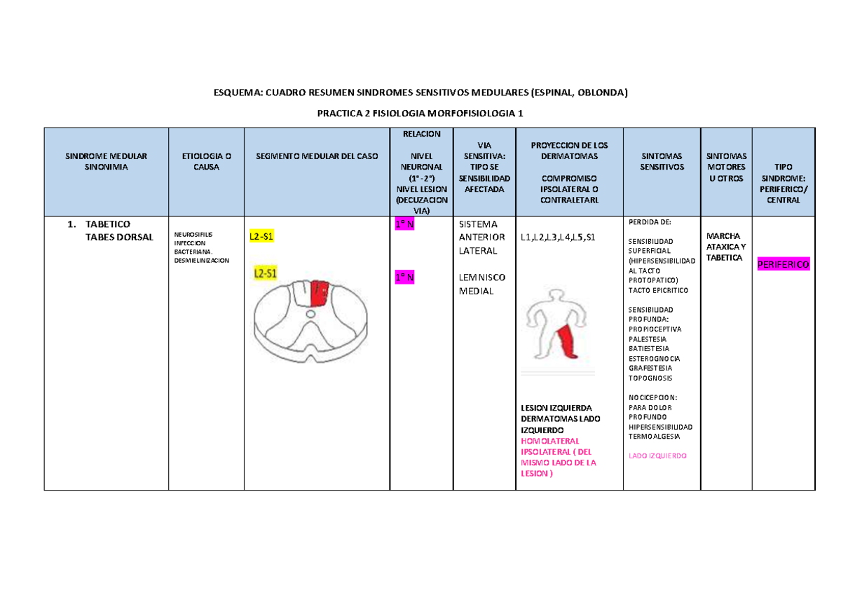 Cuadro Resumen 2 Semana Sindromes Medulares - ESQUEMA: CUADRO RESUMEN SINDROMES SENSITIVOS ...