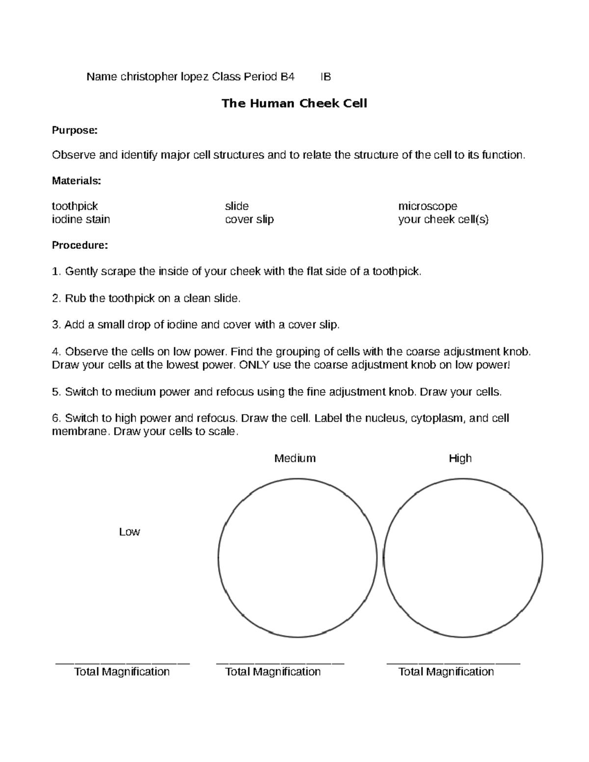 Copy of human cheek cell lab - Name christopher lopez Class Period B4 ...