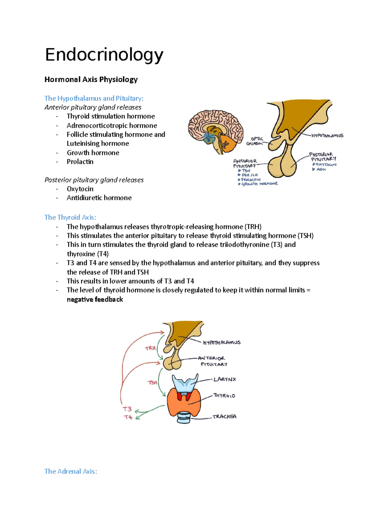 Endocrinology - Common endocrine conditions - Endocrinology Hormonal ...