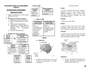 Reviewer In Fundamentals of Nursing - REVIEWER IN FUNDAMENTALS OF ...