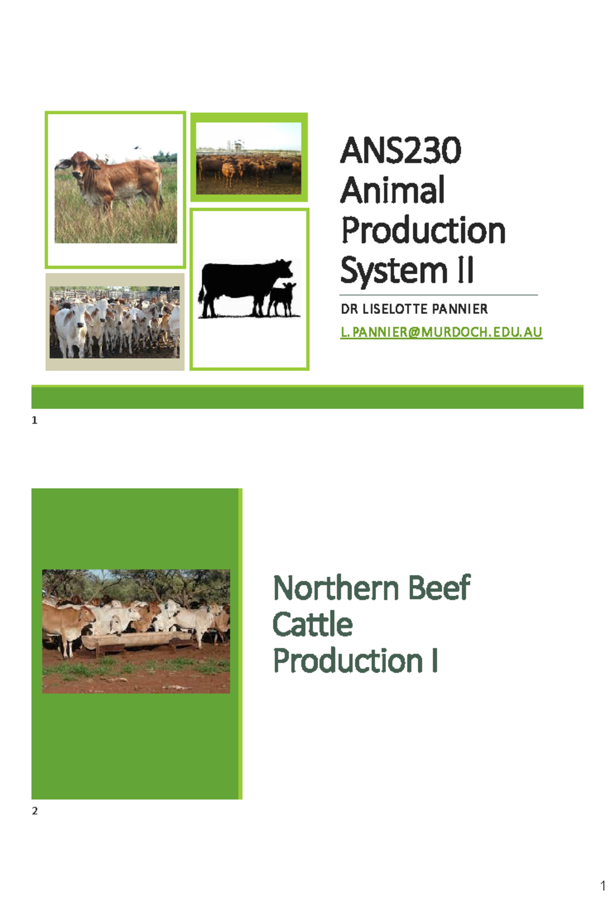 L3 Northern Beef Cattle 2024 LPIStudent - ANS Animal Production System ...