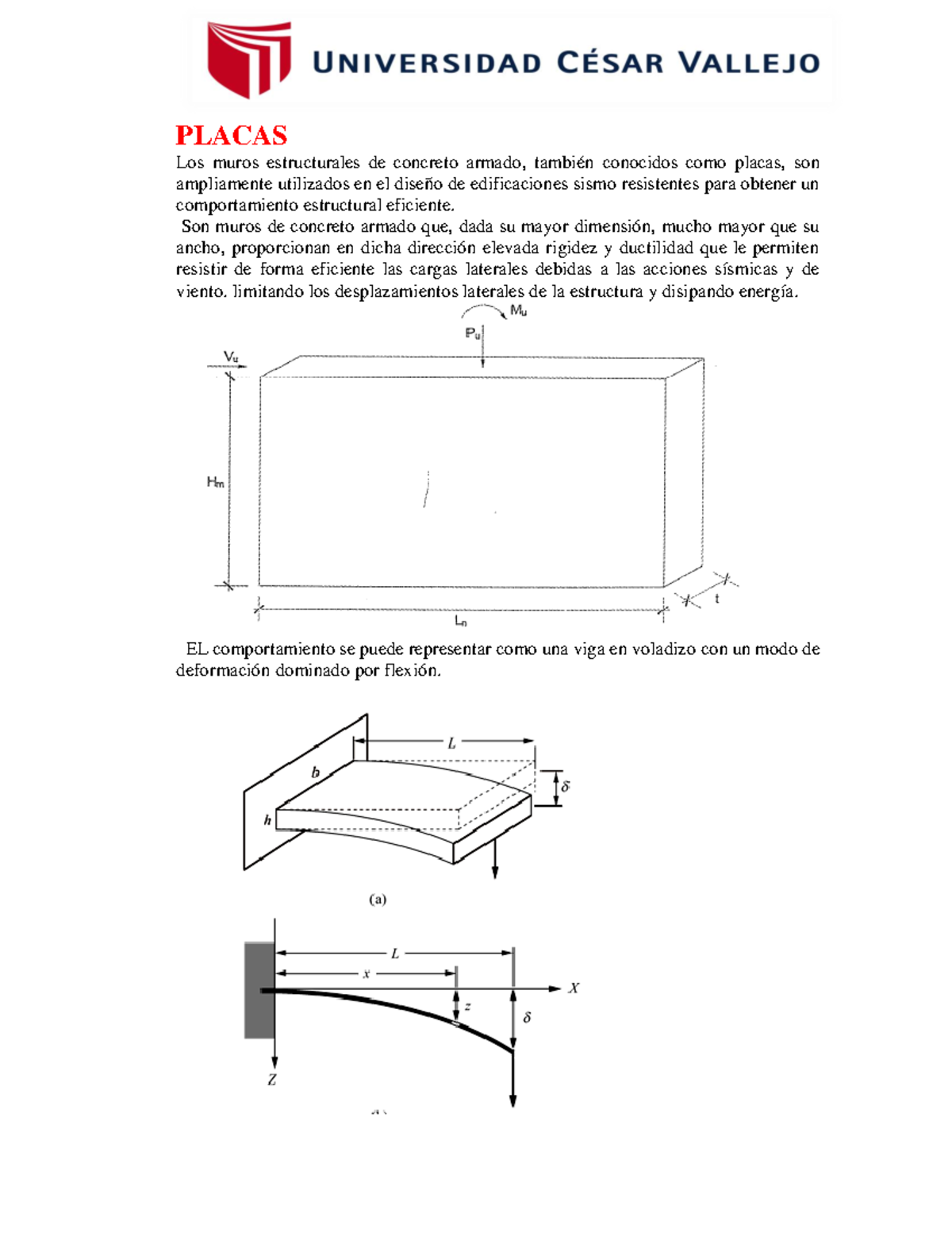 Clase Placas - PLACAS Los muros estructurales de concreto armado ...