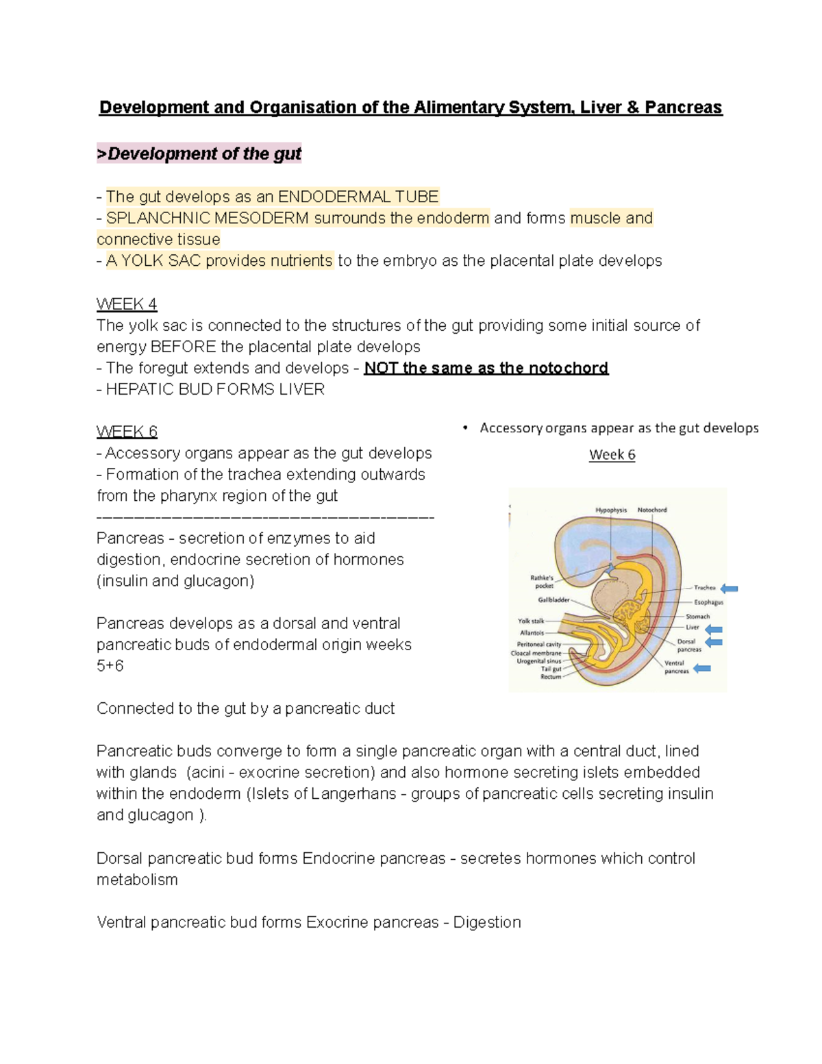 Development and Organisation of the Alimentary System, Liver & Pancreas ...