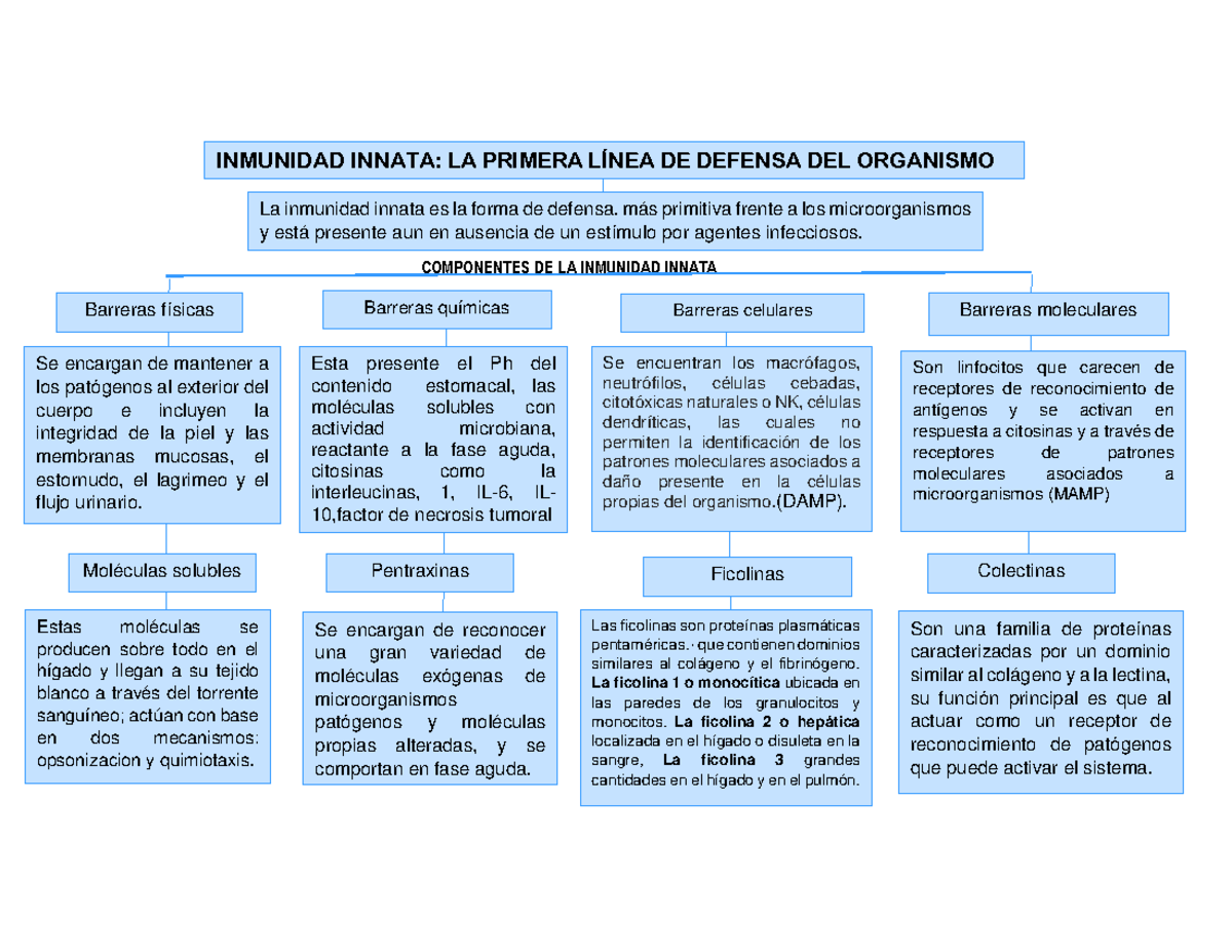 Mapa4-imnunidad innata - COMPONENTES DE LA INMUNIDAD INNATA INMUNIDAD ...