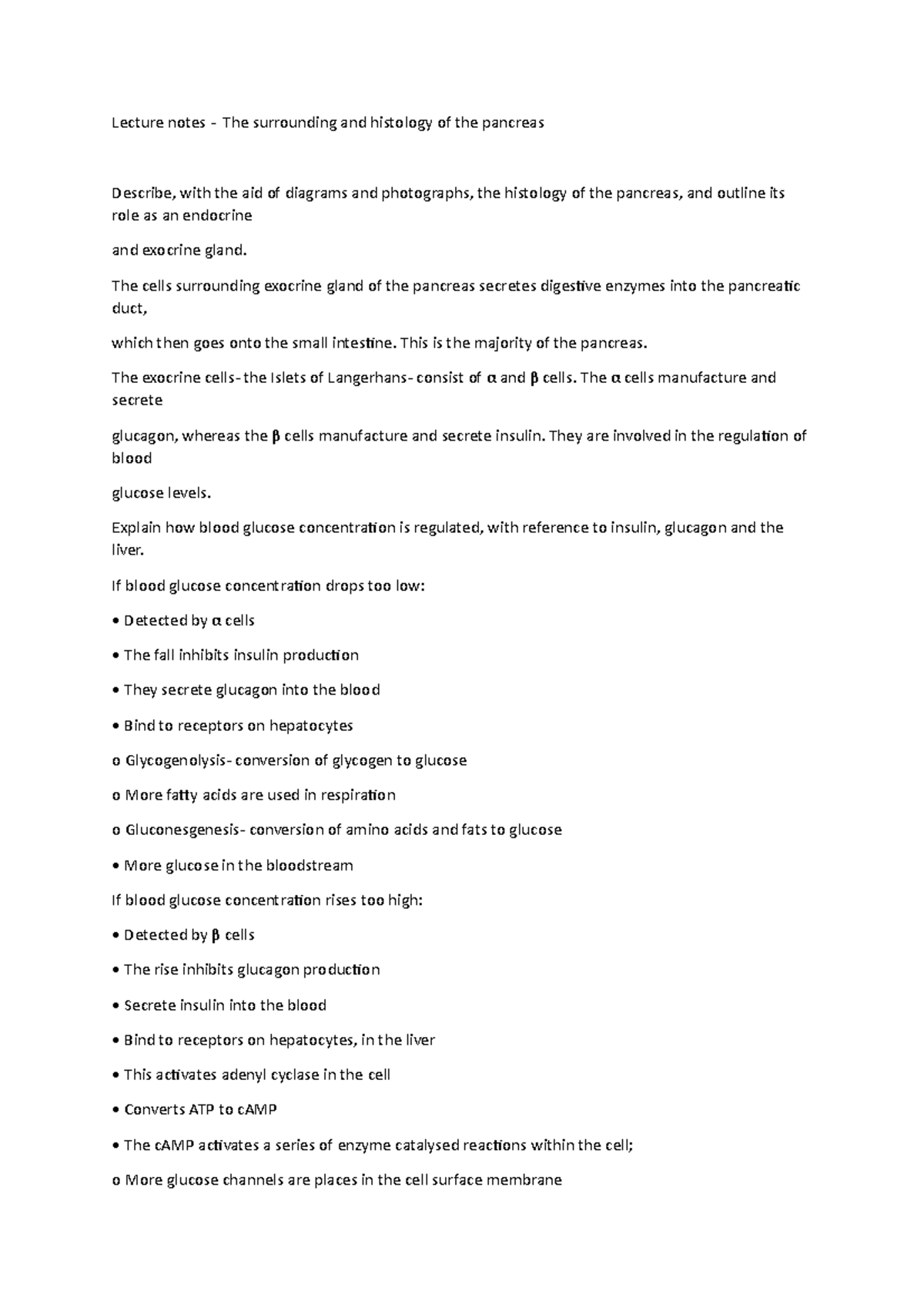 Lecture notes - The surrounding and histology of the pancreas - The ...