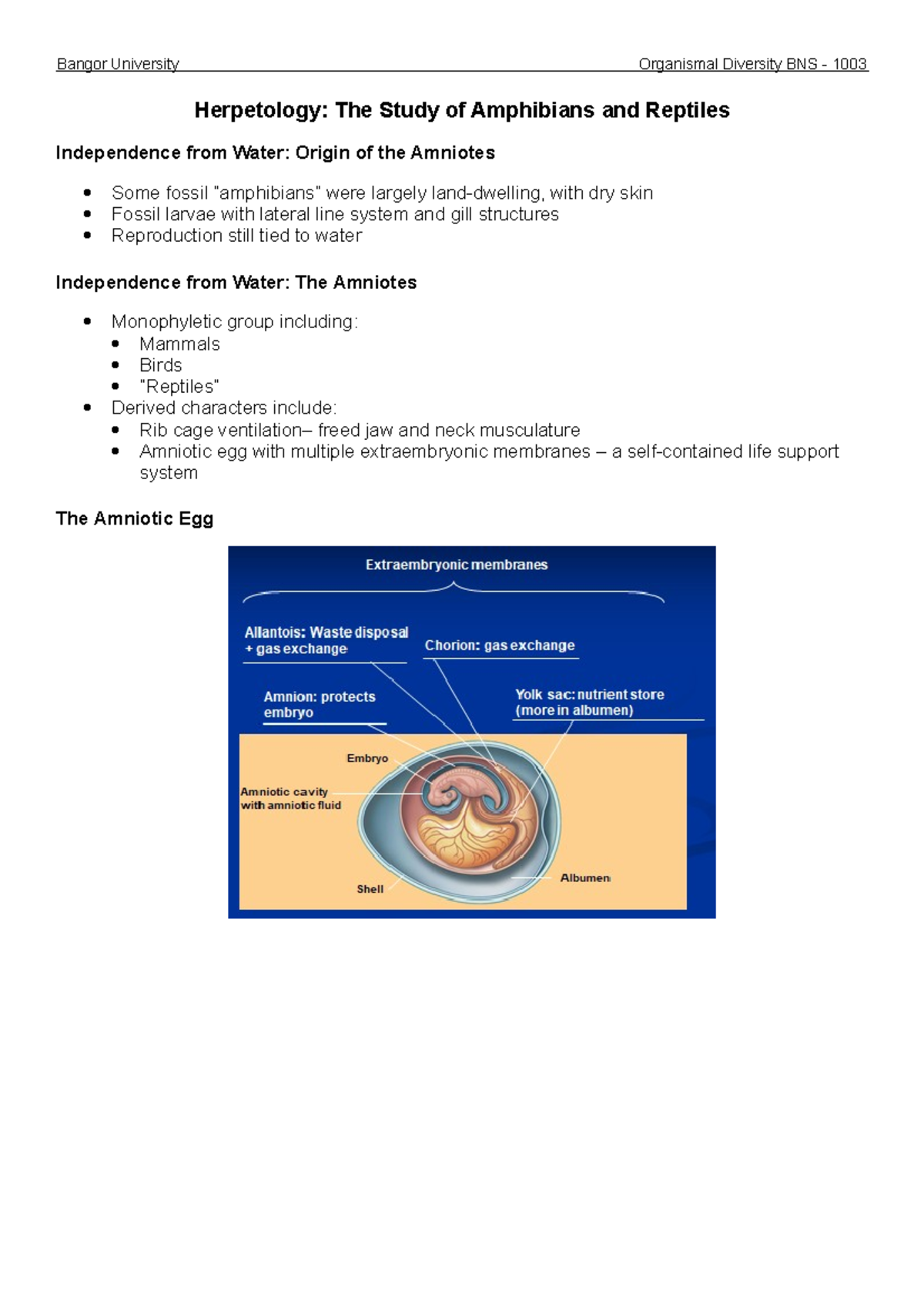 Herpetology - Lecture notes 3 - Herpetology: The Study of Amphibians ...