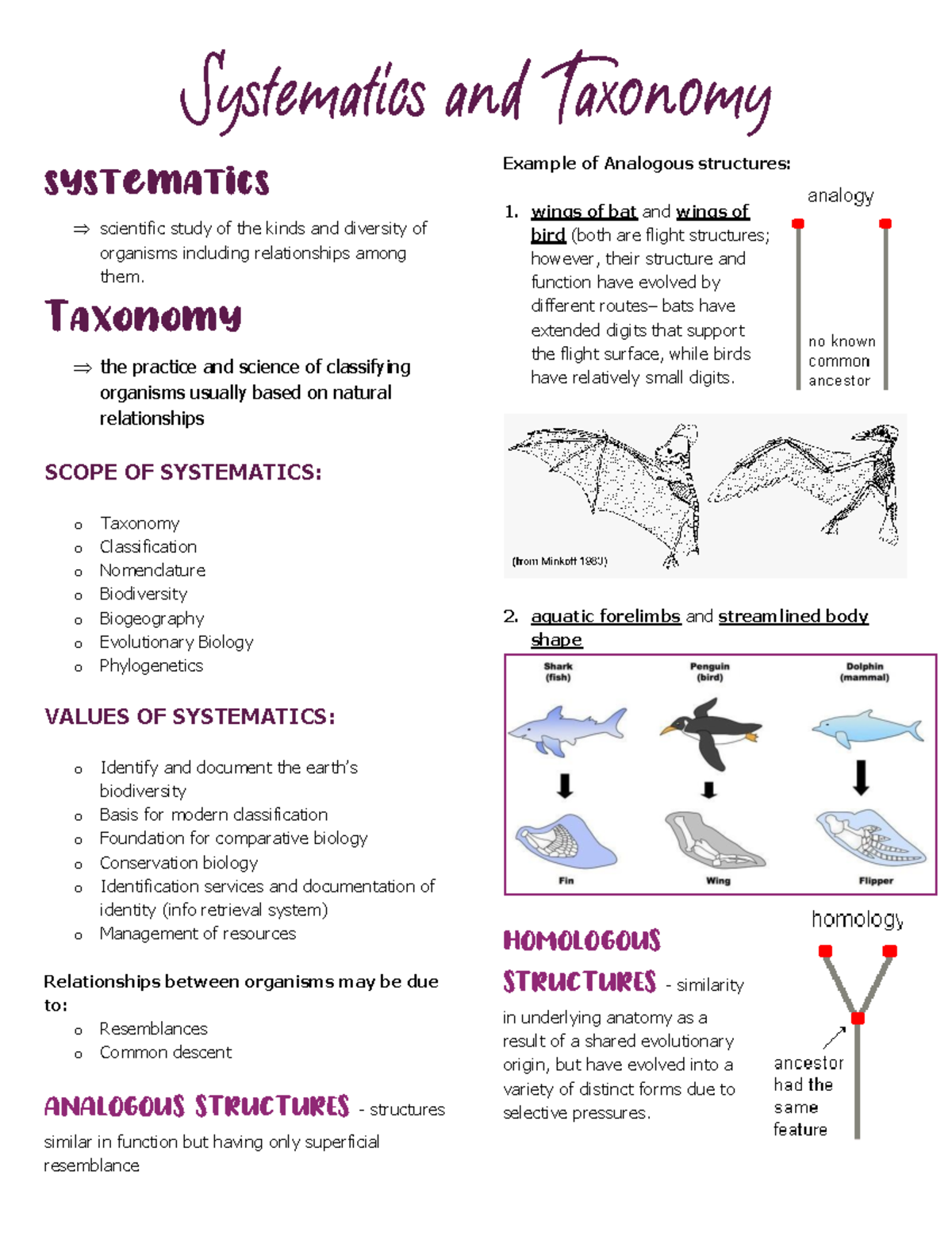 3. systematics and taxonomy (colored) - systematics scientific study of ...
