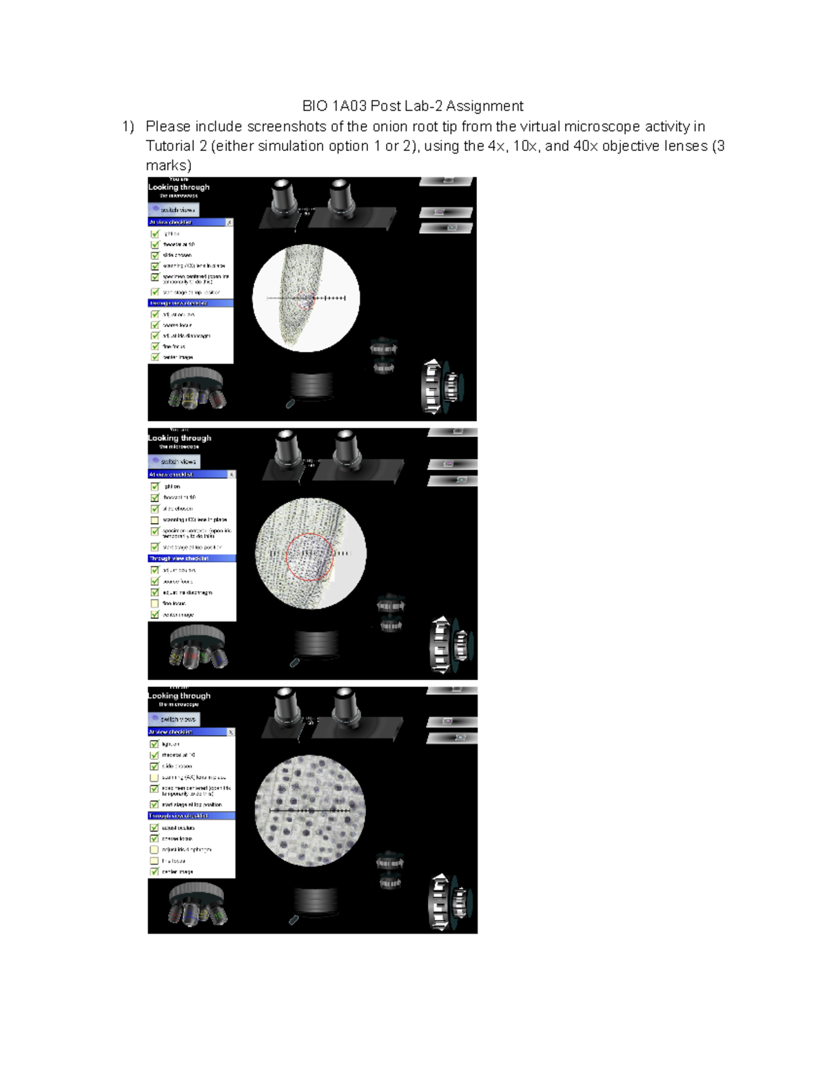 Bio postlab 2 - post lab 2 - BIO 1A03 Post Lab-2 Assignment Please include screenshots of the ...