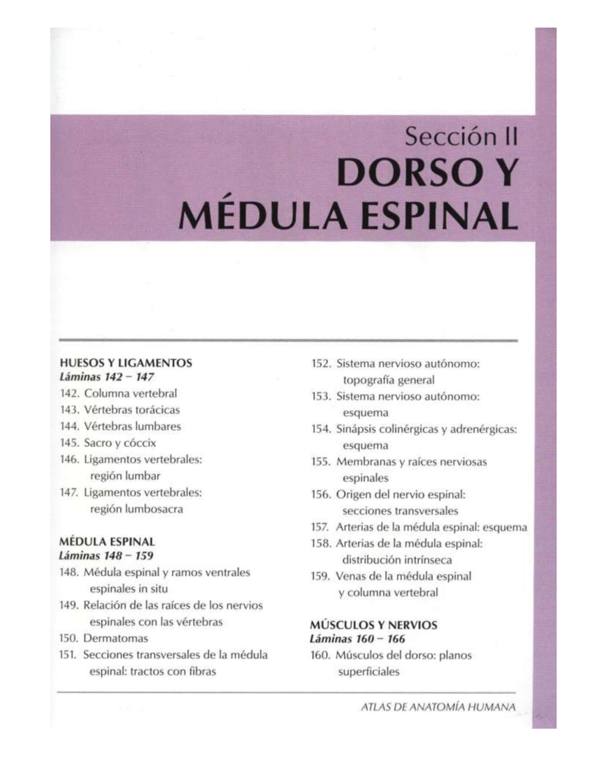 Dorso - Libro de anatomía - Anatomía - Studocu
