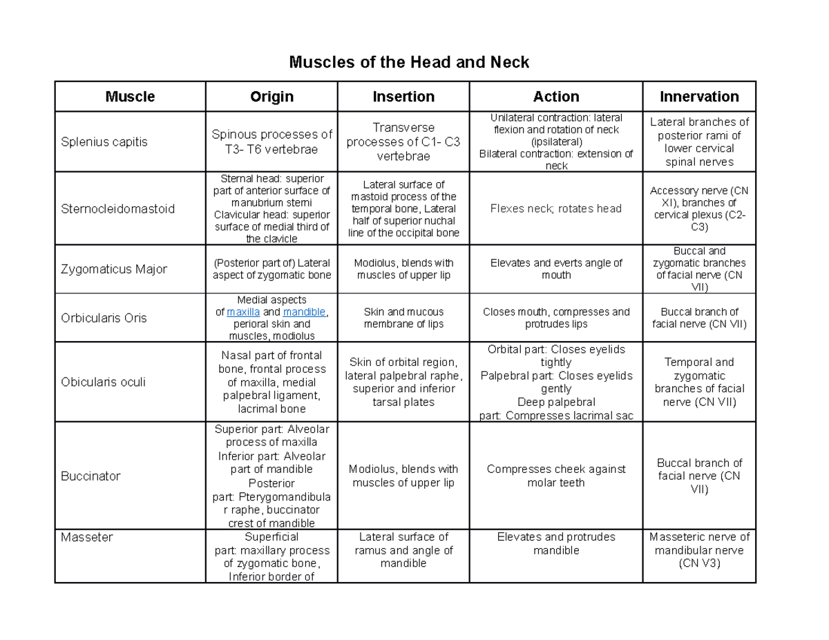 Anatomy and Physiology 1 Muscles Lab Worksheet - Muscles of the Head ...
