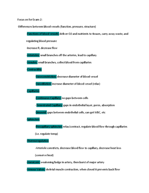 Anatomy and Physiology Exam 2 Study Guide - Focus on for Exam 2 ...
