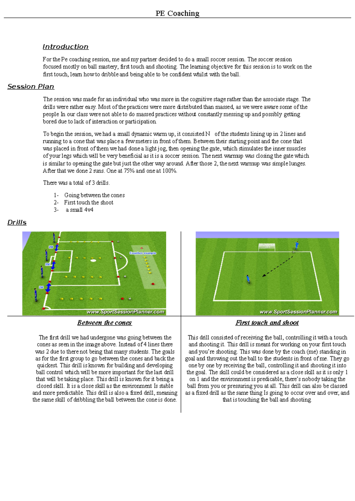PE Coaching final - Introduction For the Pe coaching session, me and my ...