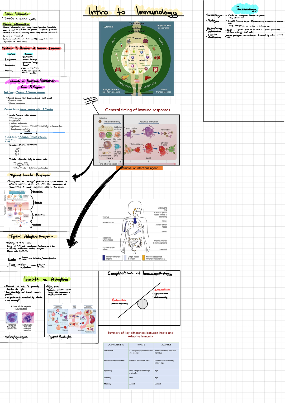 Intro to immunology - Notes taken throughout semester for exam prep ...