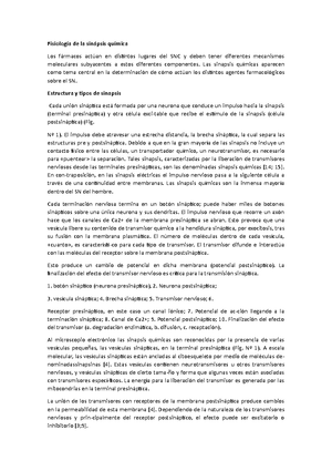 [Solved] modelo de nagi y wood - Neuroanatomia - Studocu