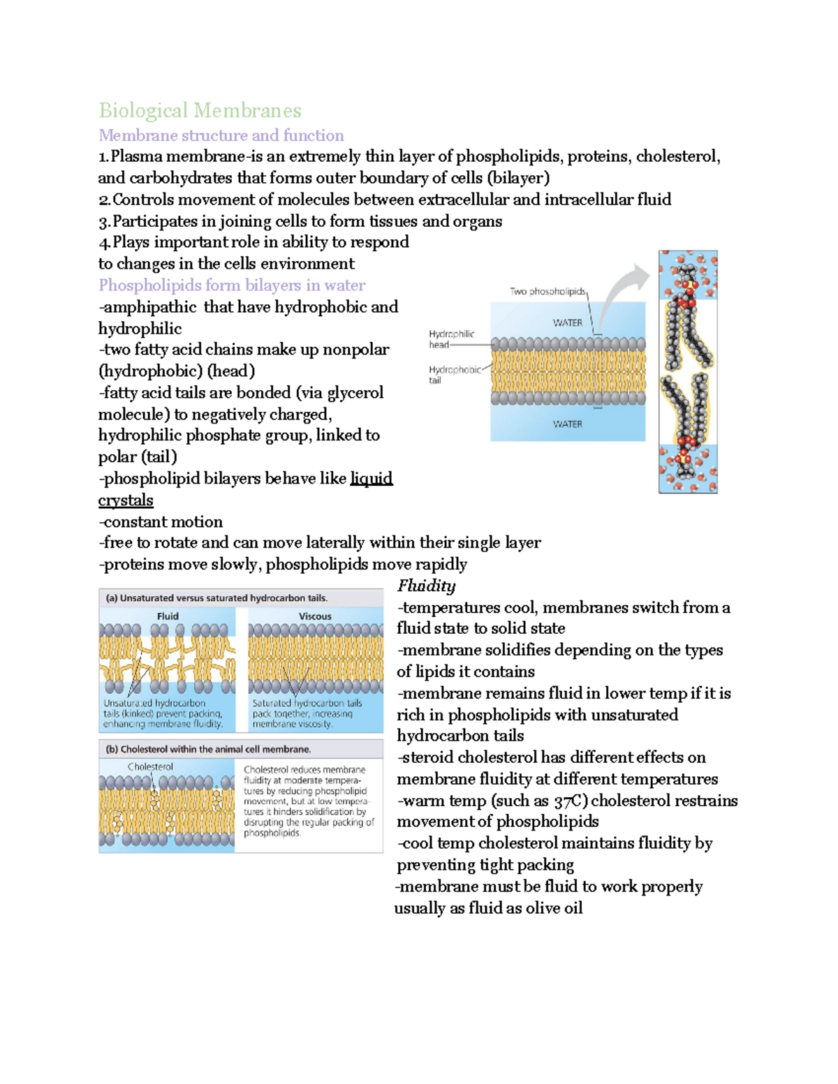 Biological membrane 5 - Biological Membranes Membrane structure and ...
