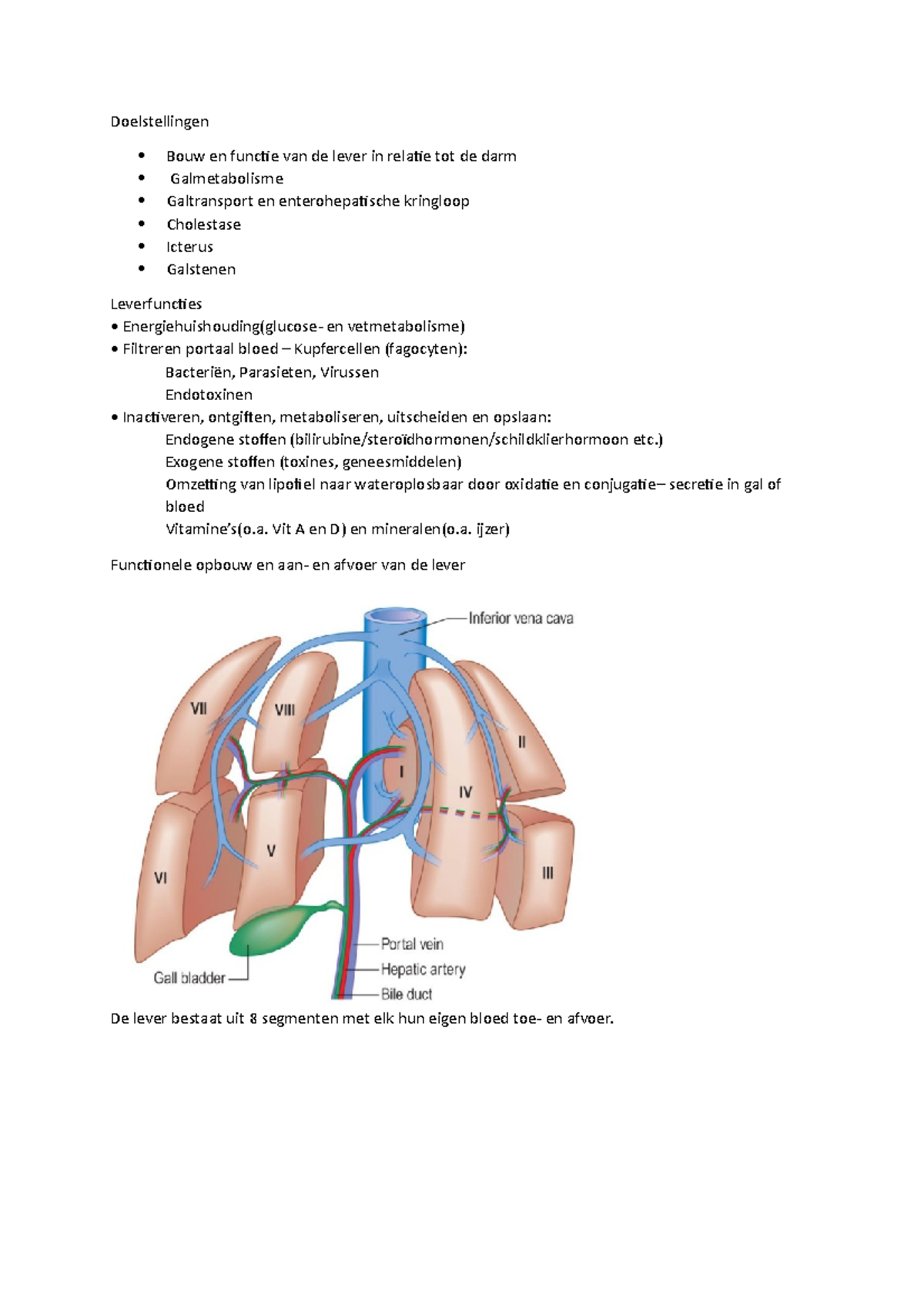 3.2 Lever (galtransport) - Doelstellingen Bouw en functie van de lever ...