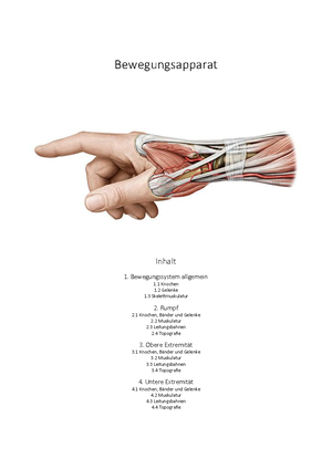 Hand Unterarm - Anatomie mit Bildern, Wintersemster - Übersicht Hand ...