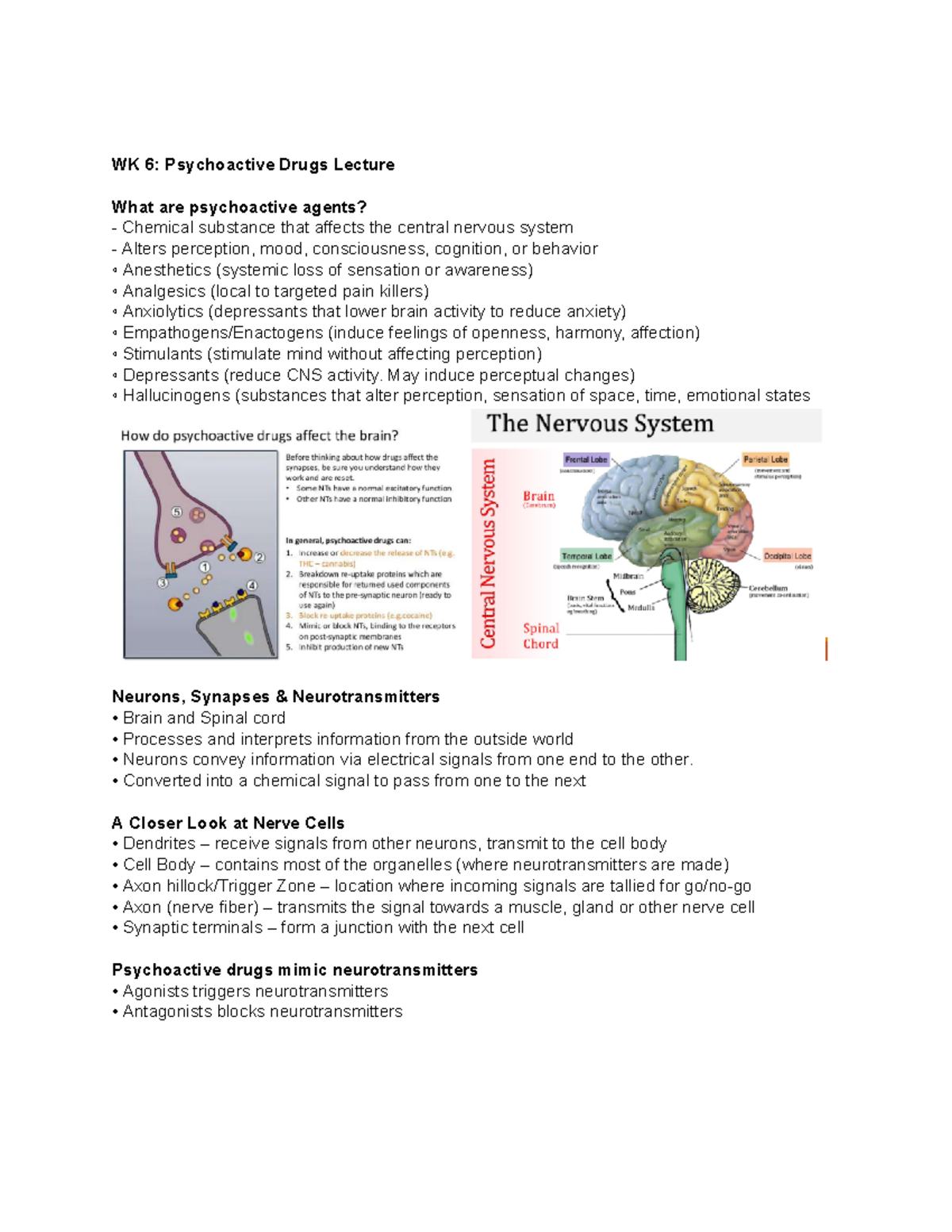 WK 6 Psychoactive Drugs Lecture - WK 6: Psychoactive Drugs Lecture What ...