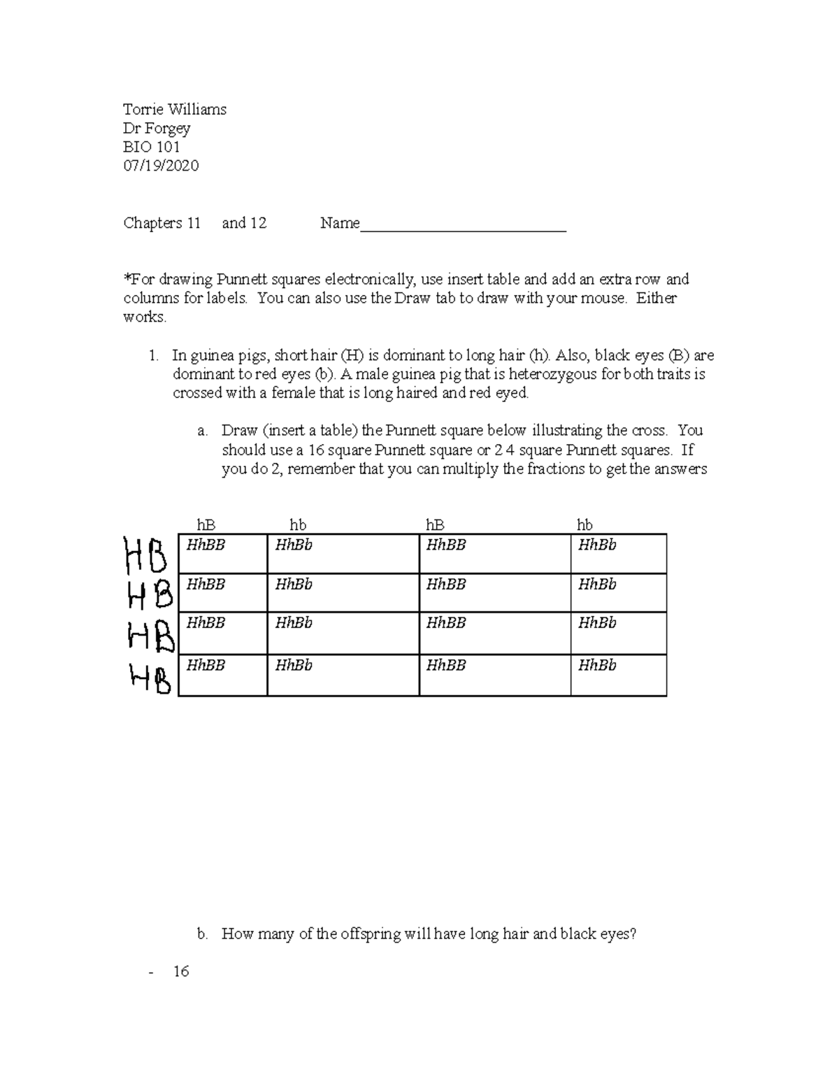 Summer 2020 Bio Chapter 11 and 12 Assignment Complete - Torrie Williams ...
