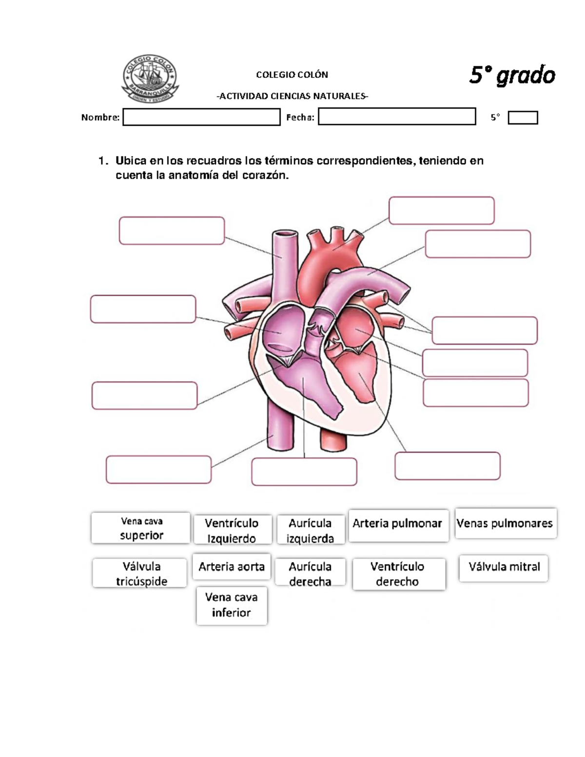 Actividad DEL Corazón - frjjr - Comunicación Escrita - COLEGIO COLÓN ...