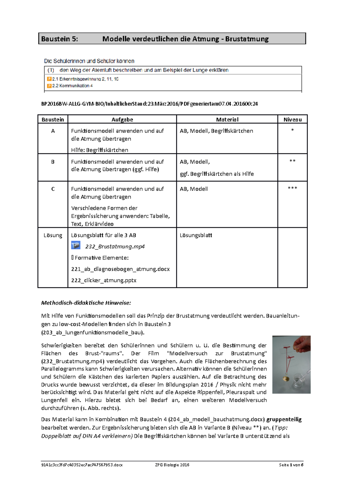 Brustatmung Modell Arbeitsblatt - Baustein 5: Modelle verdeutlichen die ...