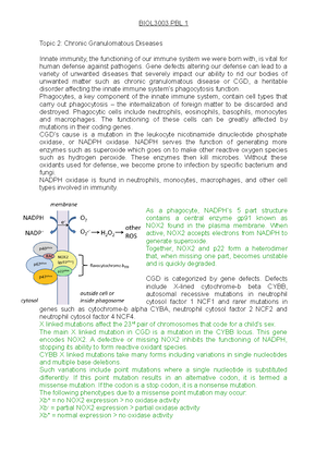 PBL 2 POSTER ASSIGNMENT - 2. T cell-dependent B cell activation Studies ...