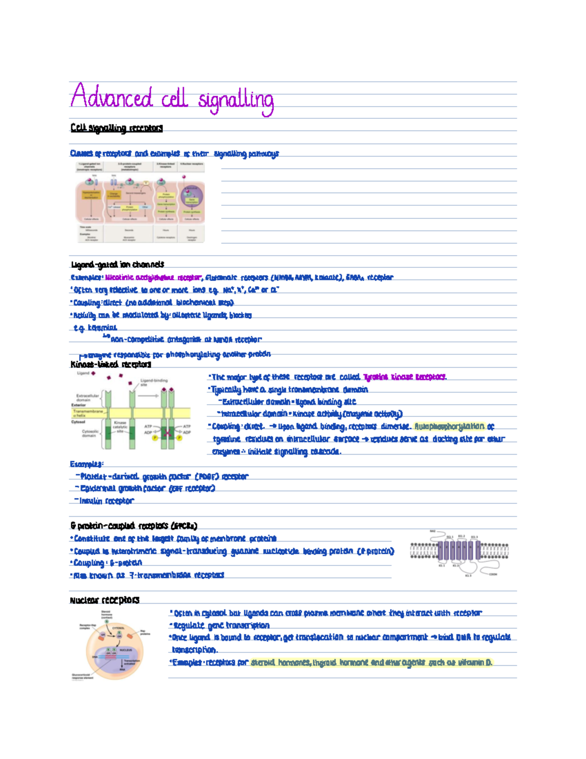 2. Advanced cell signalling notes - Advanced cell signalling ...