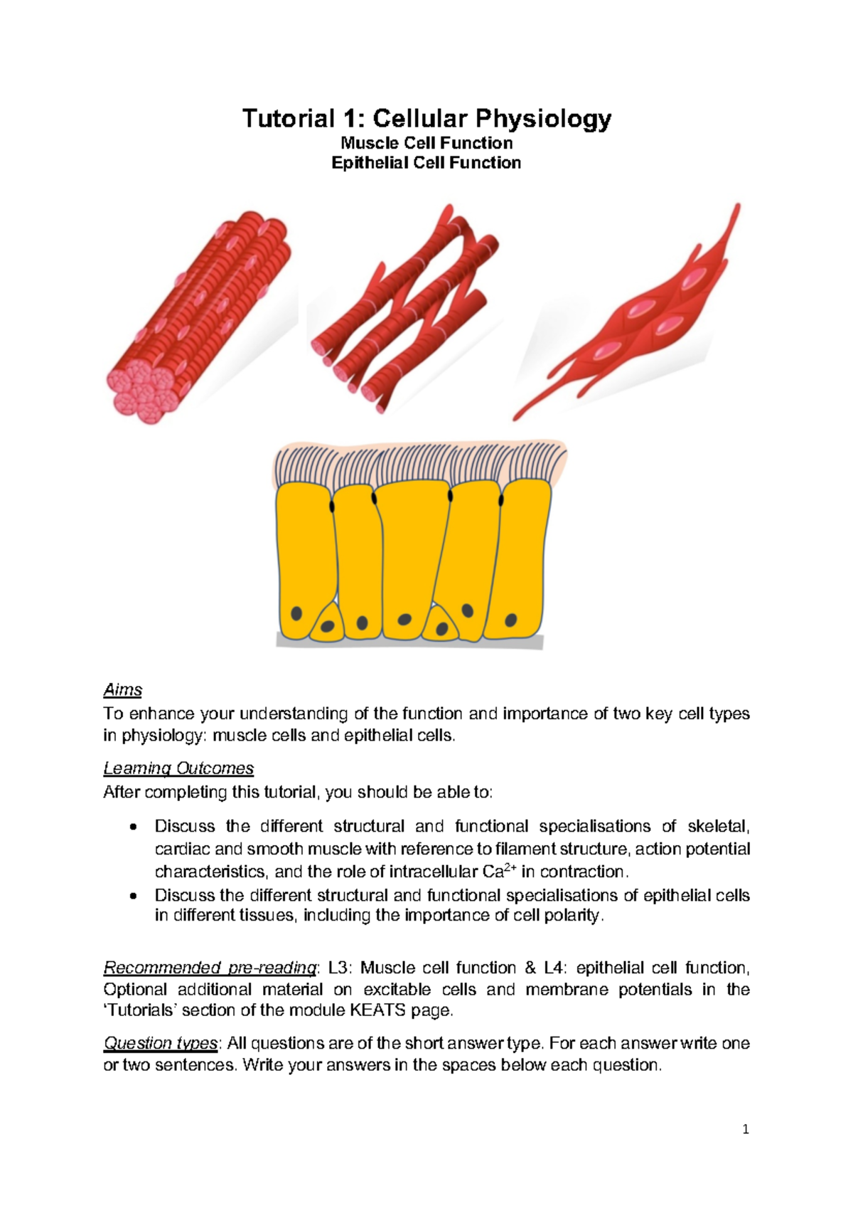 Tutorial 1 worksheet 23-24- Cellular Physiology-student version PDF - Tutorial 1: Cellular - Studocu