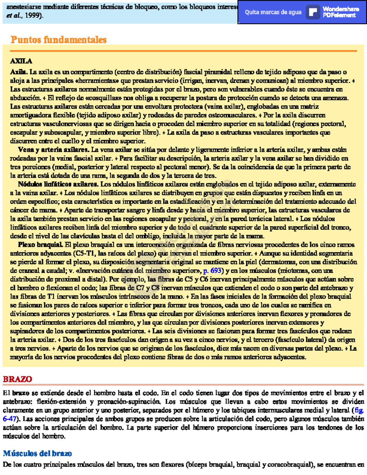 falanges de la mano y el pie, mas su fisiología. Detallado ...