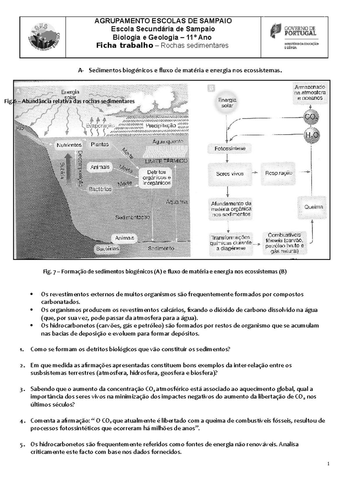 Ficha rochas sedimentares(Ccorr) - AGRUPAMENTO ESCOLAS DE SAMPAIO ...