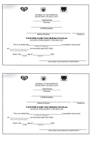 Registration FORM Cbsua-PILI SY 2024-2025 - H E A D Q U A R T E R S ...