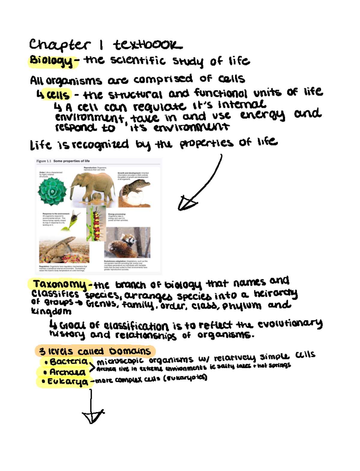 Ch 1 textbook notes - Chapter I textbook Biology the scientific study ...