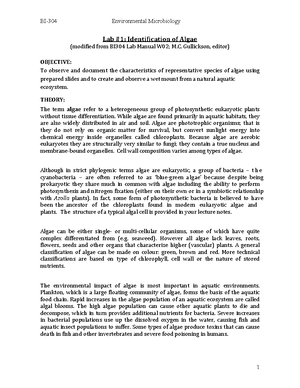 Identification OF Proteus vulgaris Using Preliminary AND Biochemical ...