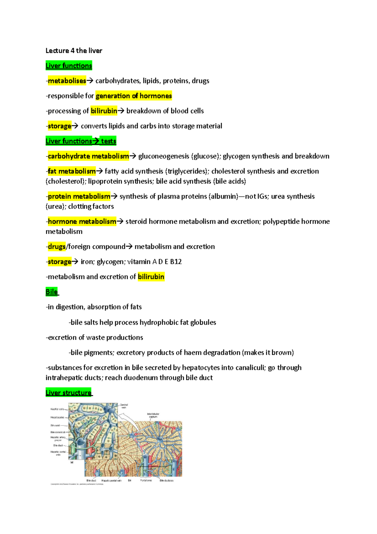 Lecture 4 the liver - Lecture 4 the liver Liver functions metabolises ...