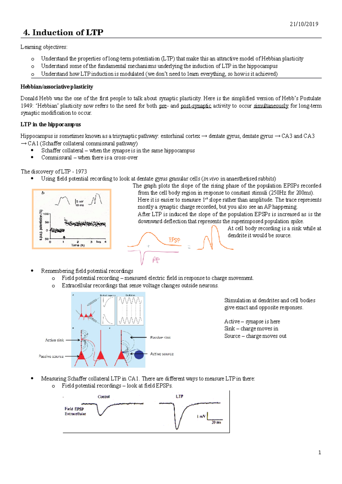 4. Induction of LTP - 4. Induction of LTP Learning objectives: o ...